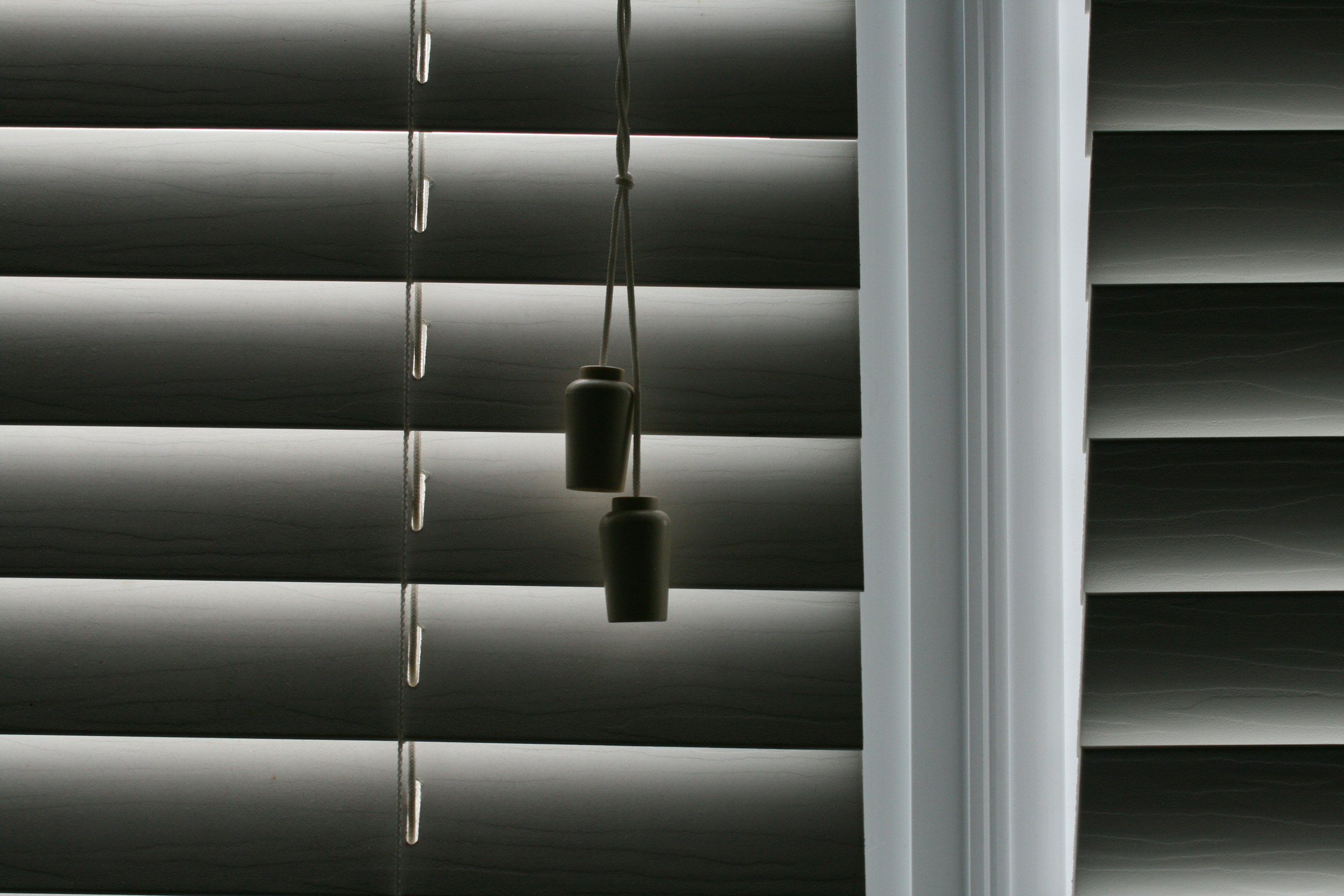 Maximizing Light Control and Privacy with Customized Blinds and ...